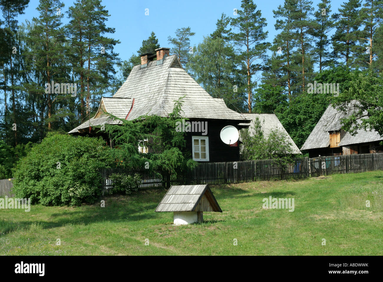 Augustow forest hi-res stock photography and images - Alamy