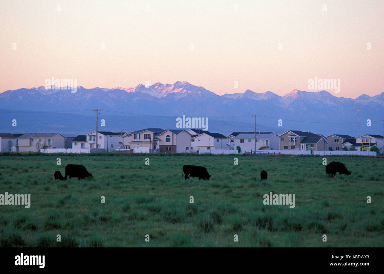 Cattle ranches give way to subdivisions and the Wasatch Range in the ...