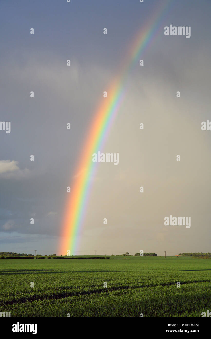 Rainbow over fields, Cambridgeshire Stock Photo - Alamy