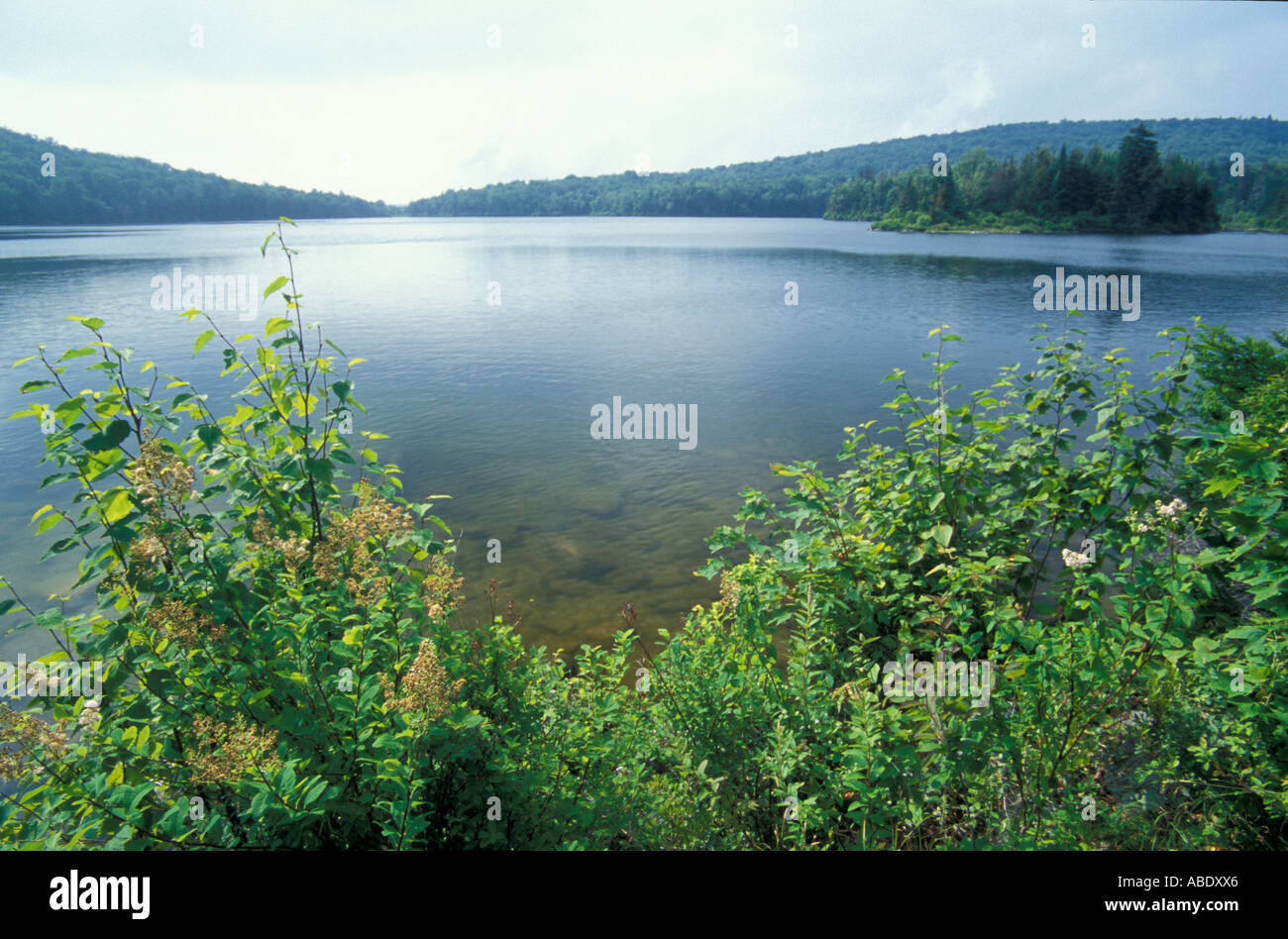 Stratton VT Stratton Pond Appalachian Trail Long Trail Stock Photo - Alamy