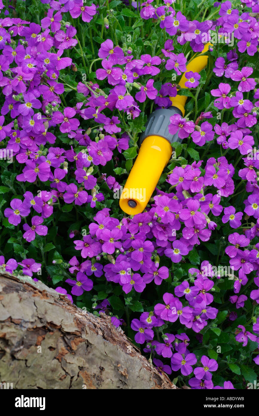garden hose pipe dripping in flower bed Stock Photo - Alamy