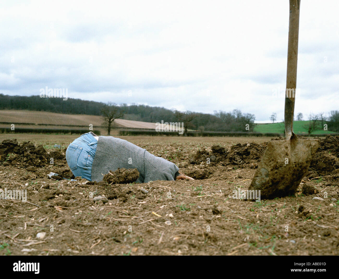 Farmer inside a hole Stock Photo - Alamy