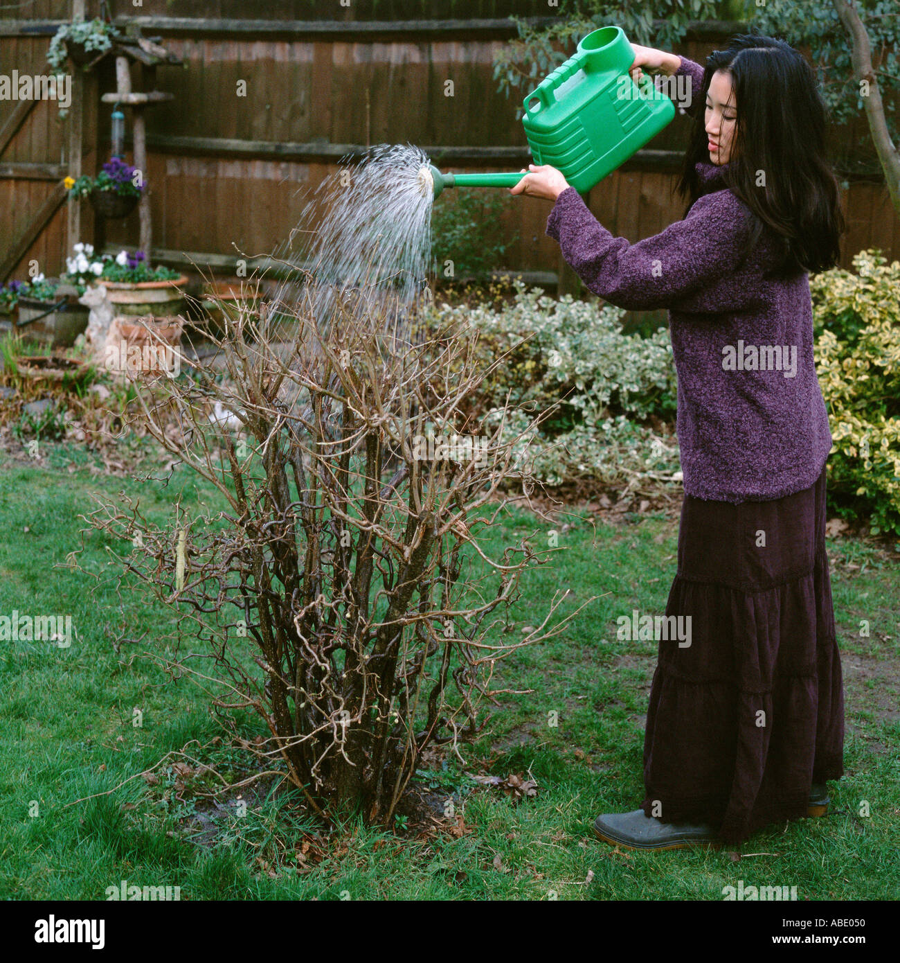Woman holding dead plant hi-res stock photography and images - Alamy