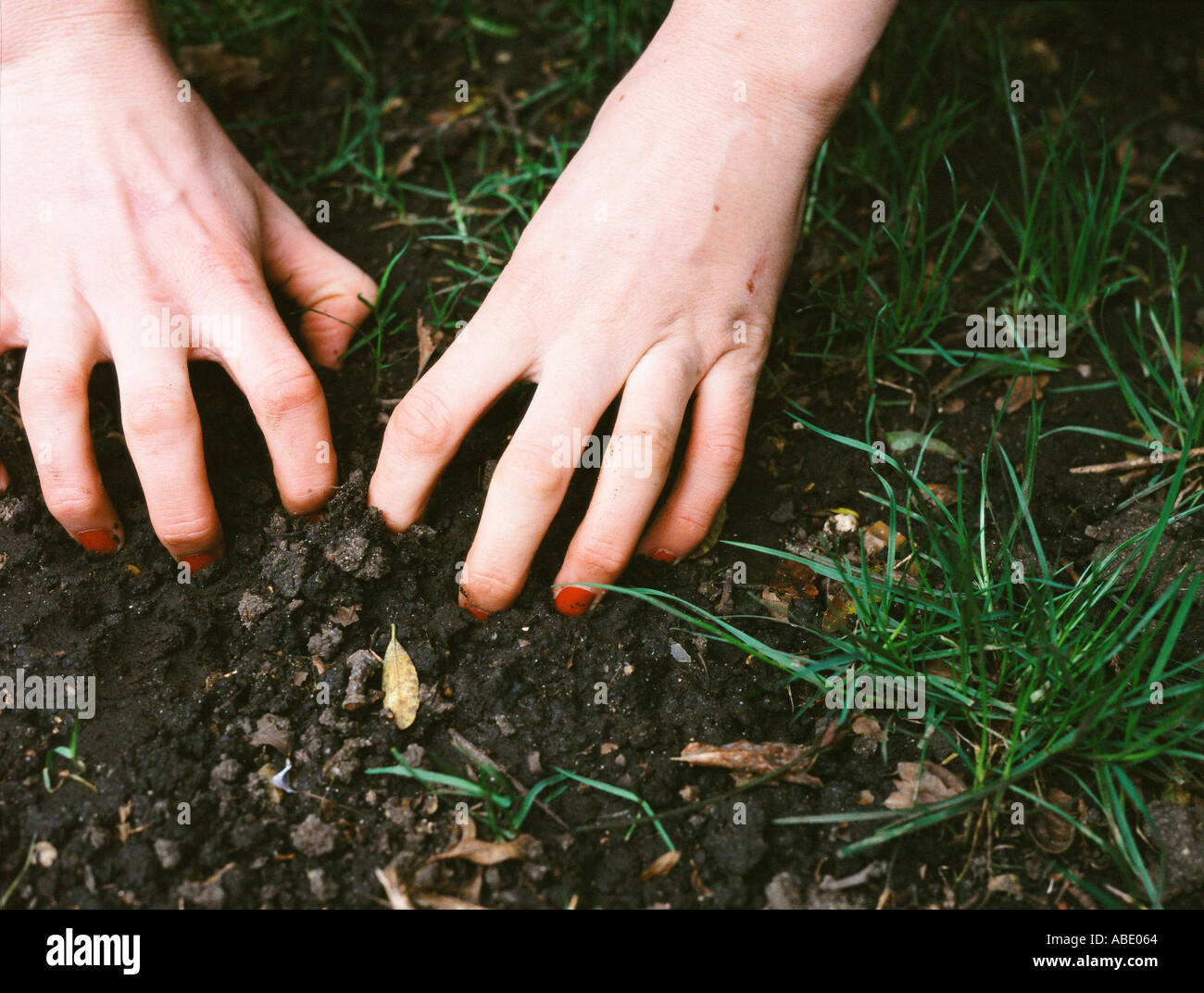 Female hands touching soil on hi-res stock photography and images - Alamy
