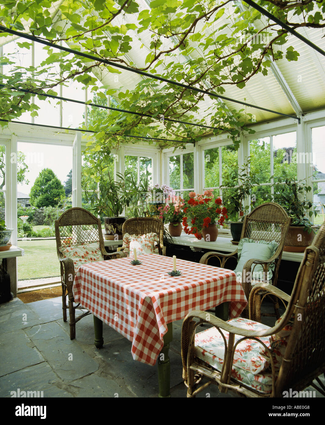 Interiors traditional conservatories houseplants hi-res stock ...