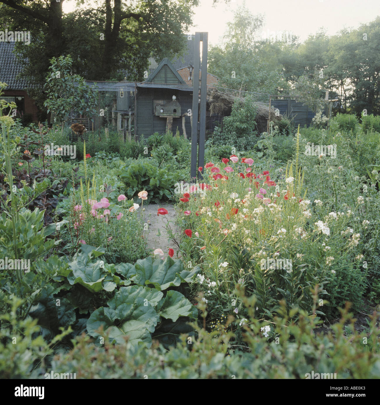 Overgrown garden border hi-res stock photography and images - Alamy