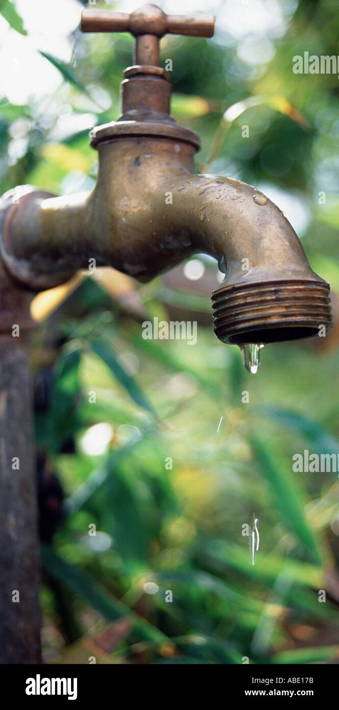 Garden tap hi-res stock photography and images - Alamy