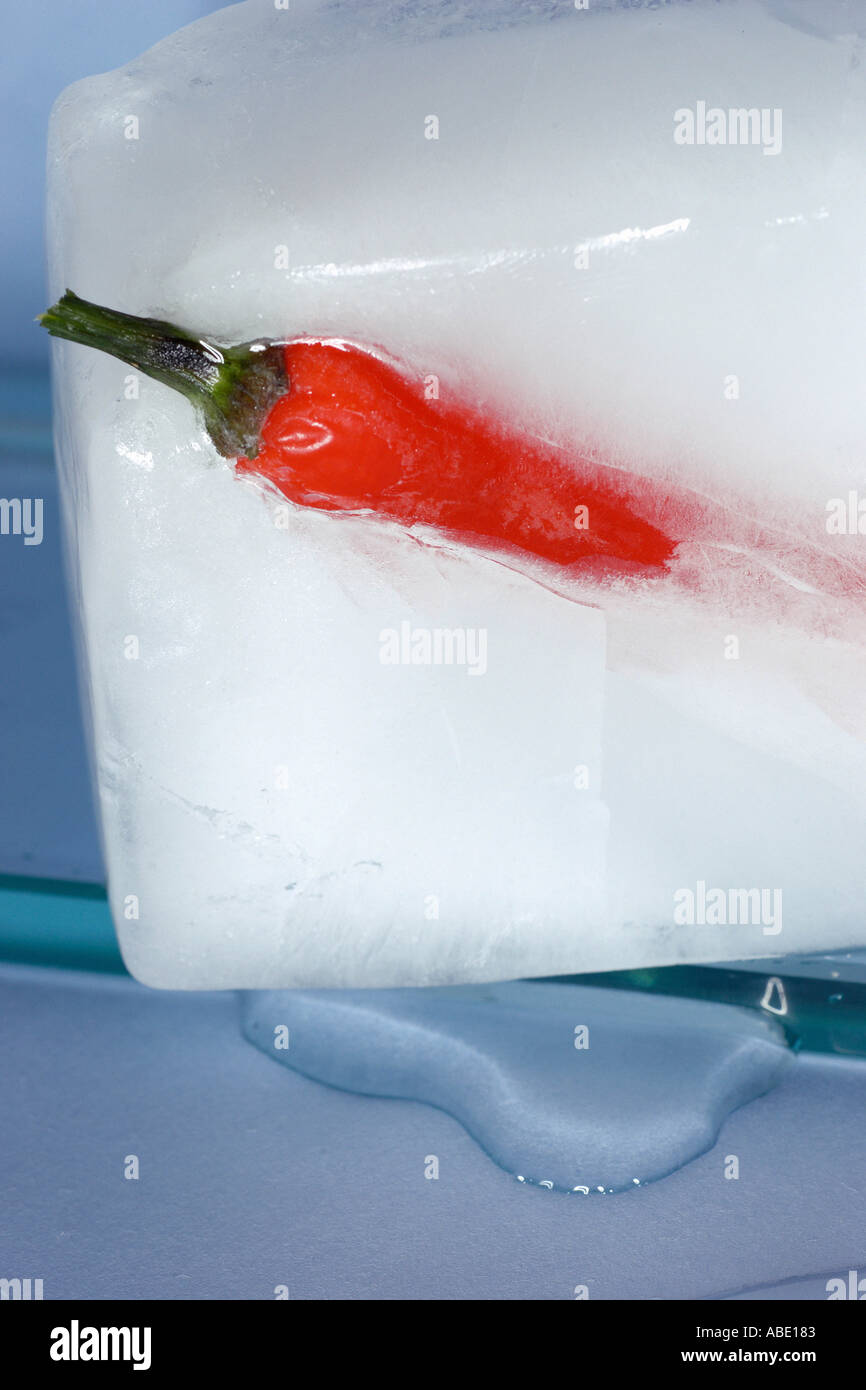 Chili pepper in ice Stock Photo - Alamy