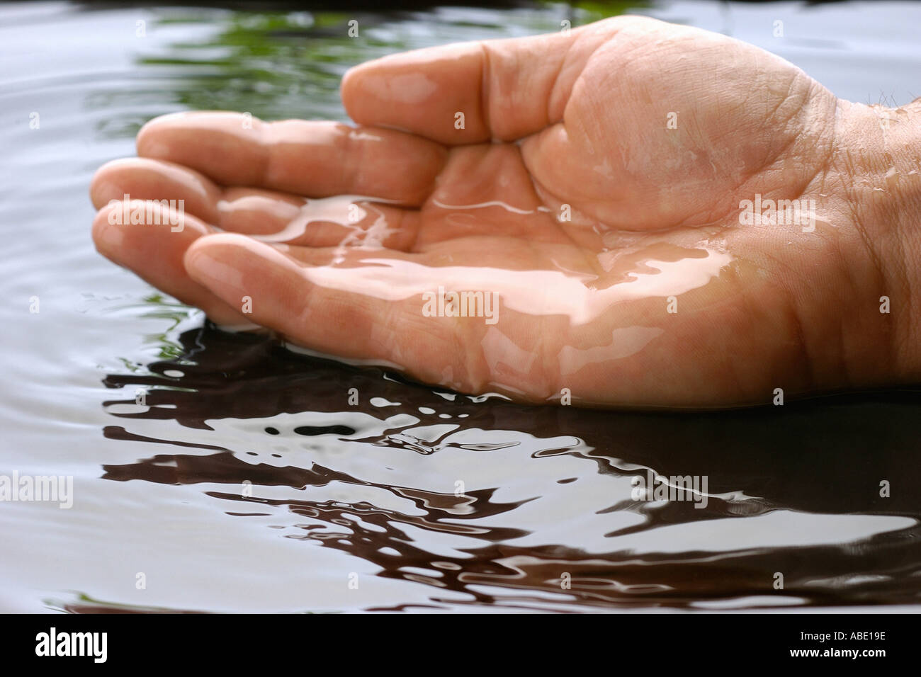 White mans pond hi-res stock photography and images - Alamy