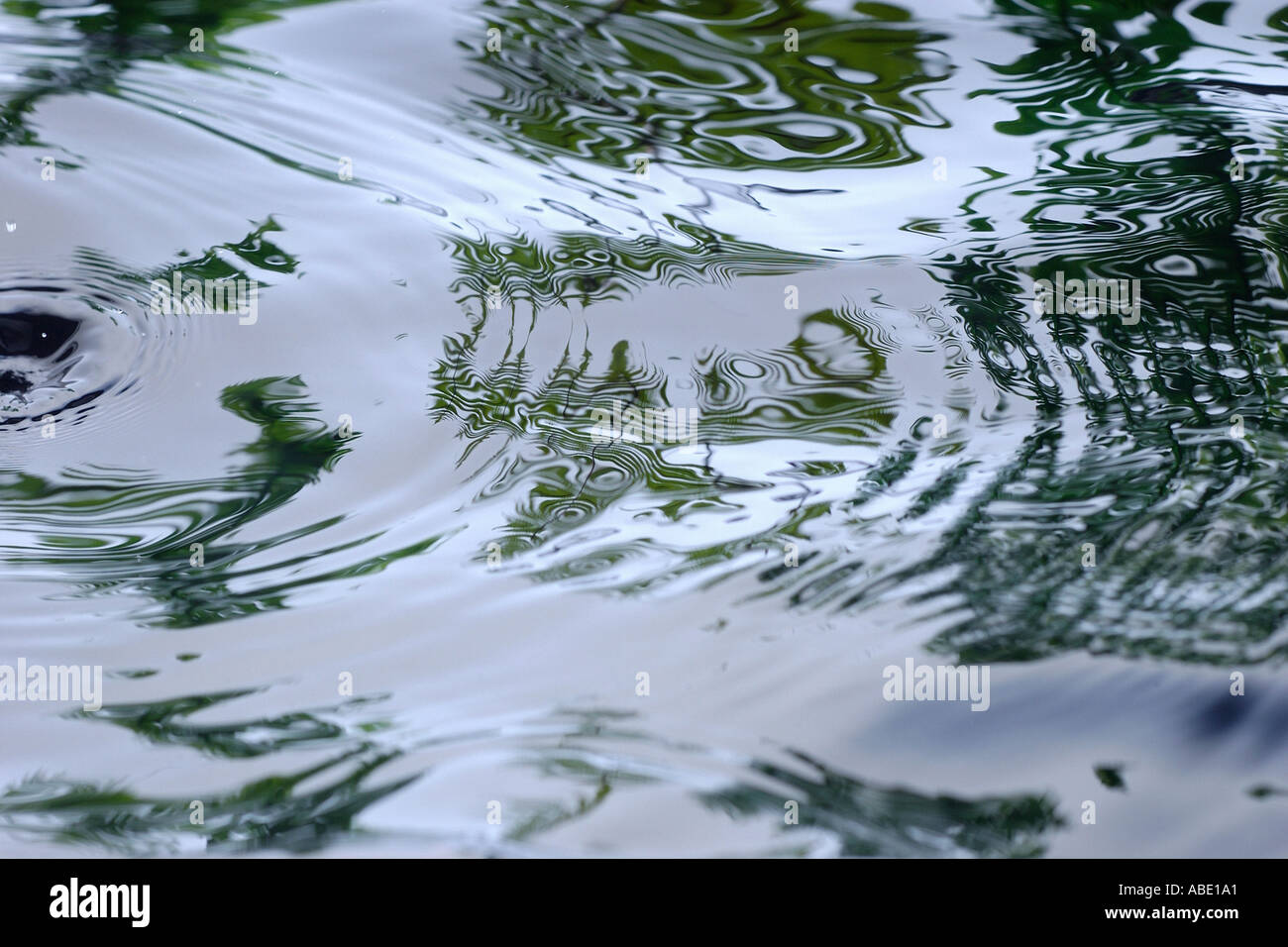 Ripples on pond Stock Photo - Alamy