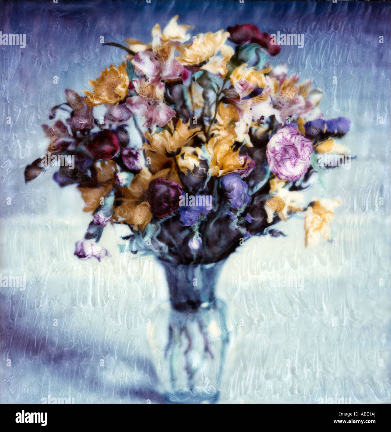 Blue Vase (Polaroid Manipulation Stock Photo - Alamy