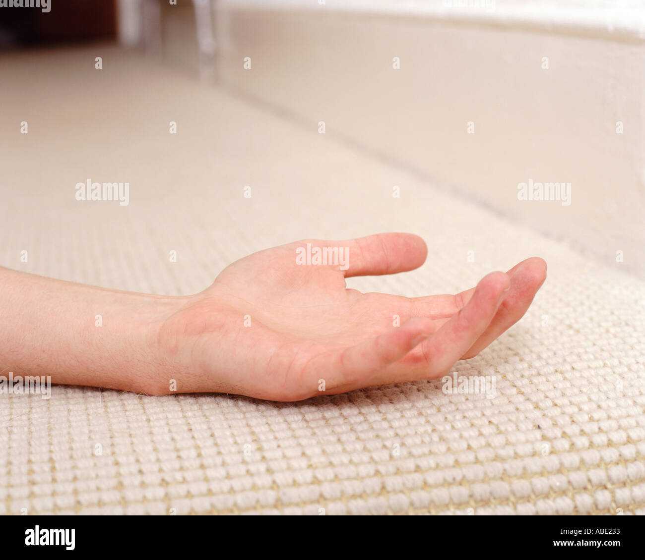 Hand carpet hi-res stock photography and images - Alamy