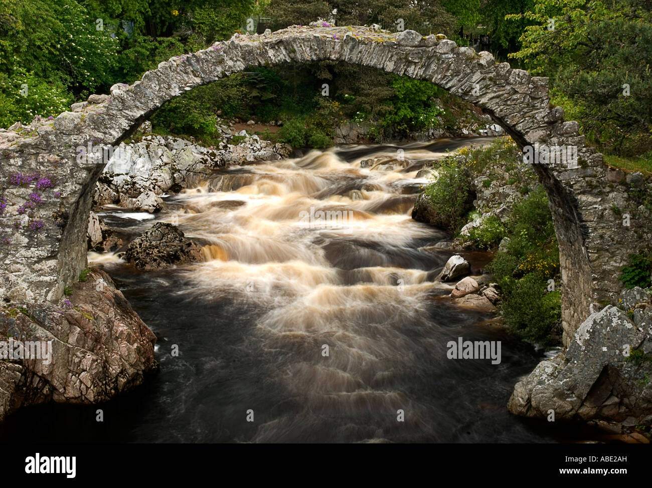 Carbridge hi-res stock photography and images - Alamy