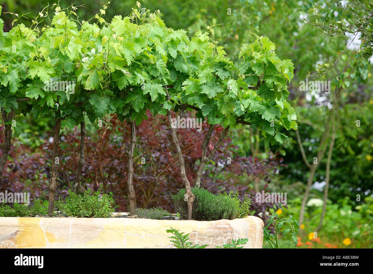 Guthrie green hi-res stock photography and images - Alamy