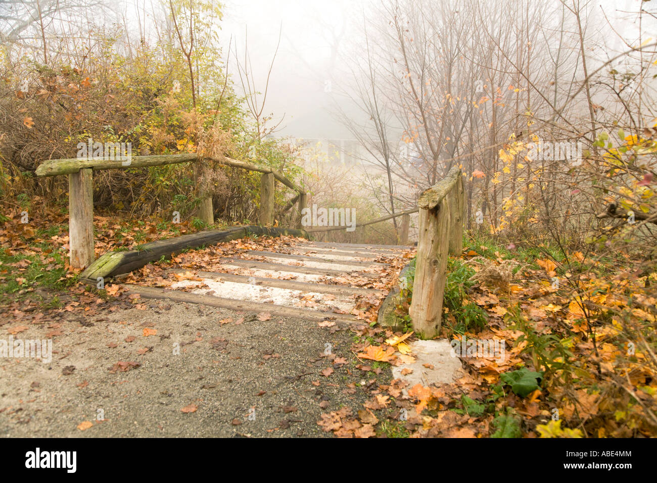 Stairs in Foggy Autumn Landscape Stock Photo - Alamy