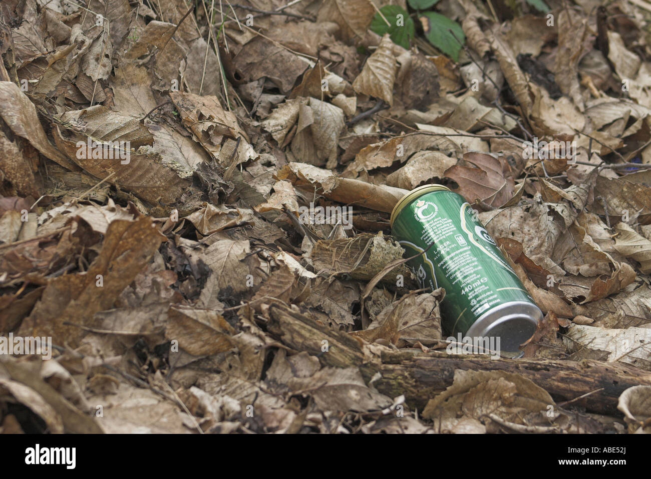 Lager can thrown away at side of road Stock Photo - Alamy