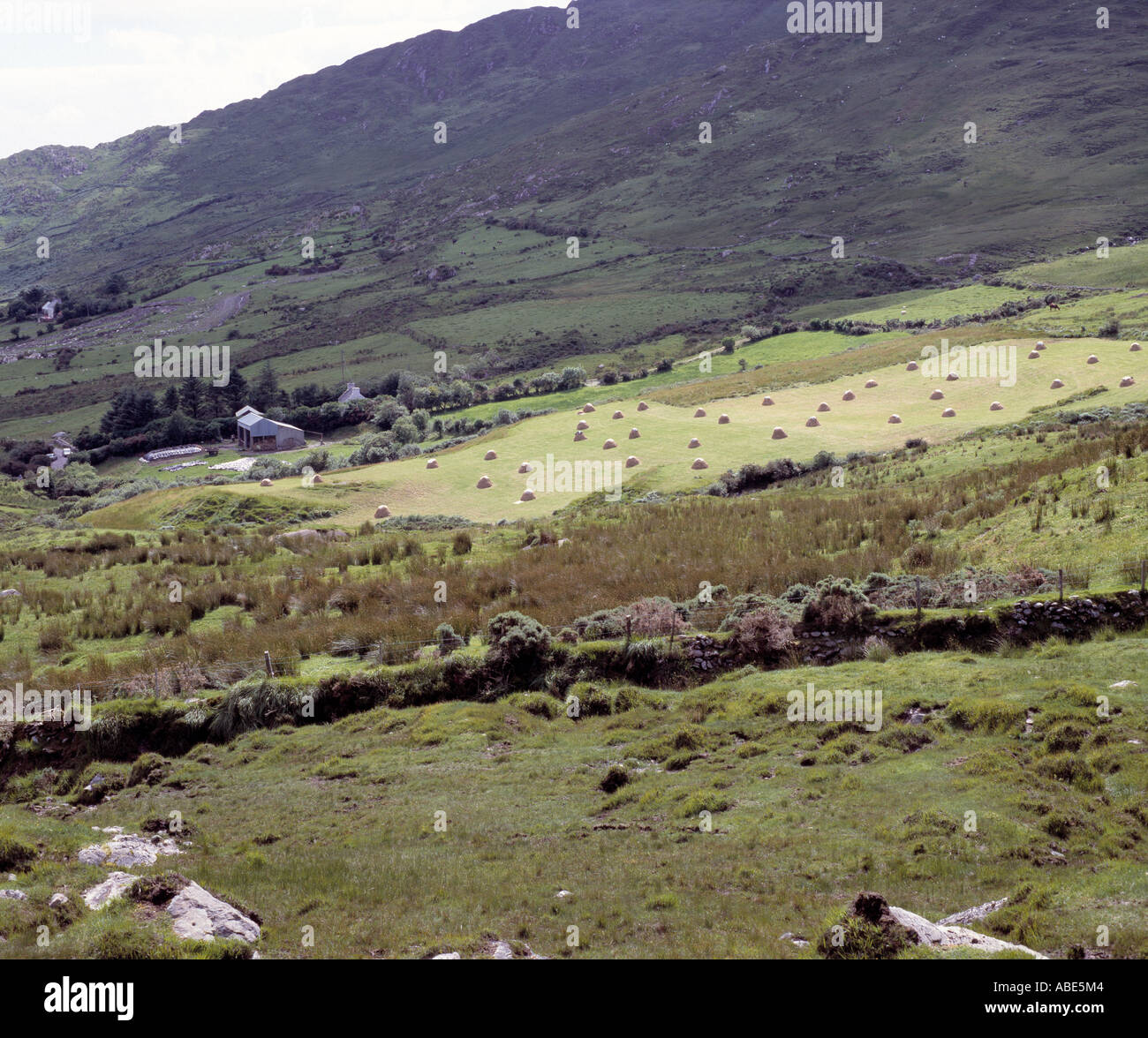poor irish mountain land with small uncultivated fields Stock Photo - Alamy