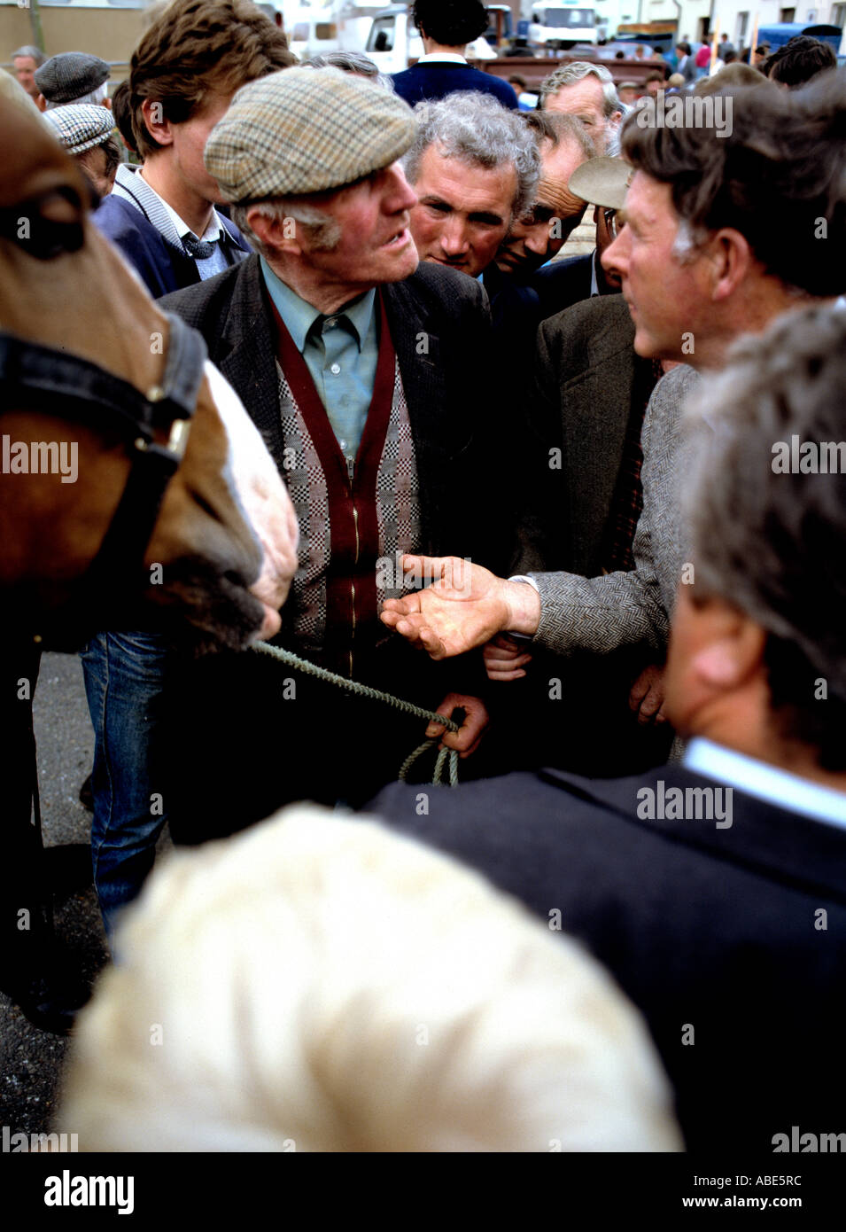 Irish game fair hi-res stock photography and images - Alamy
