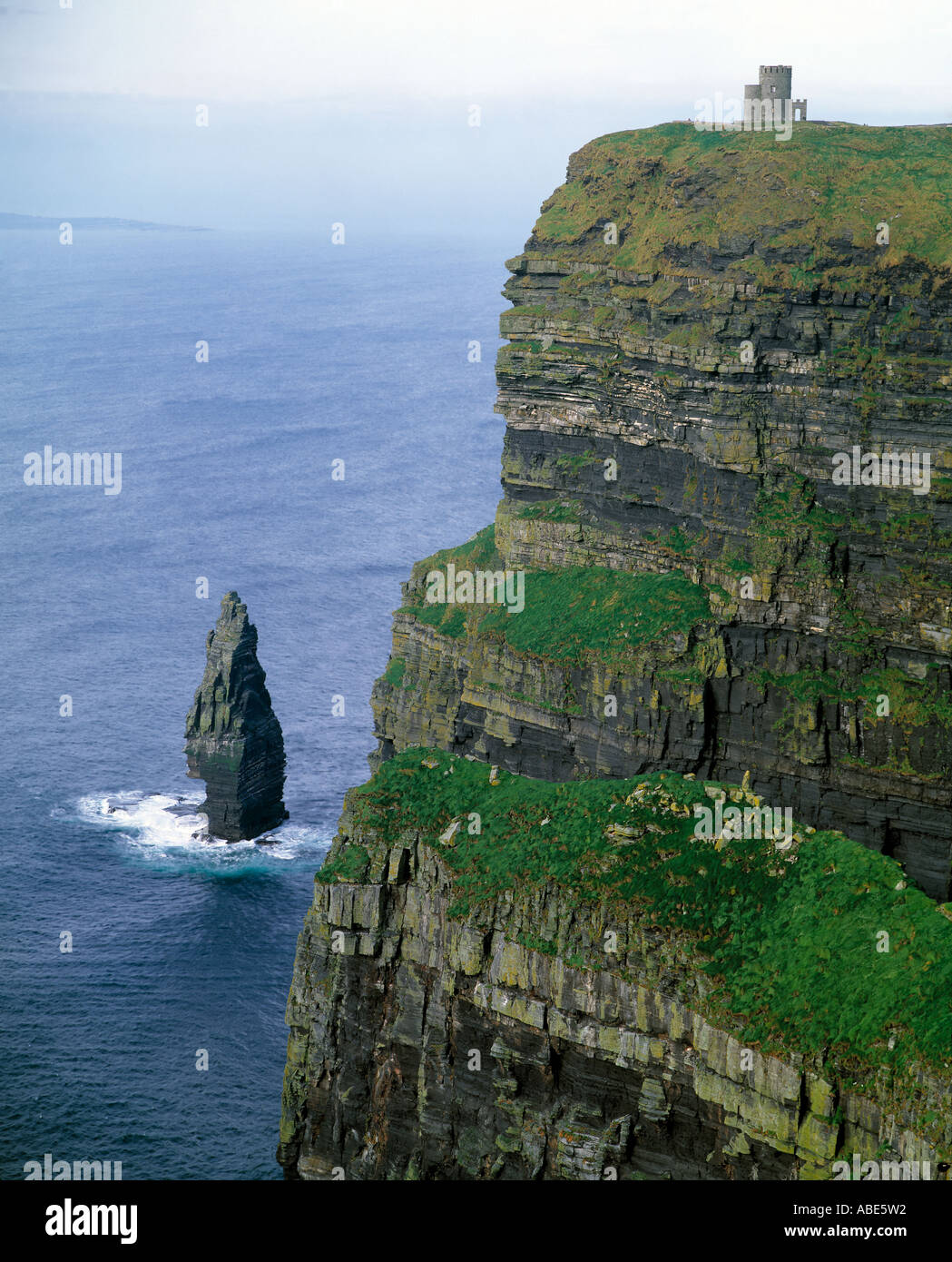 sea stack below cliffs of moher with obriens tower on cliff edge, steep ...