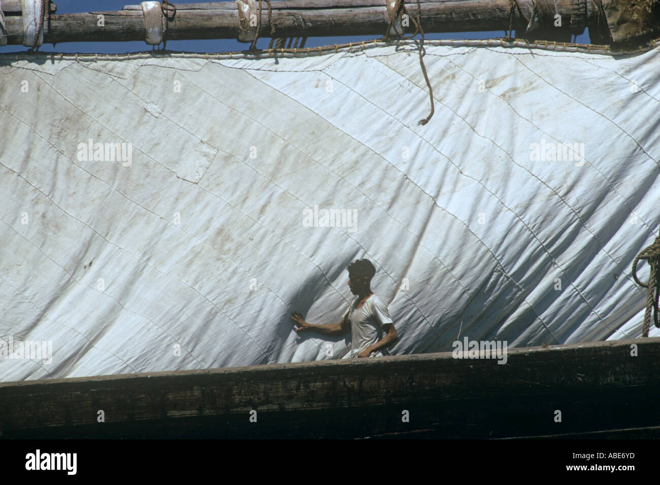 On a 'boom', or large Arab dhow, the sail begins to rise, a single man ...