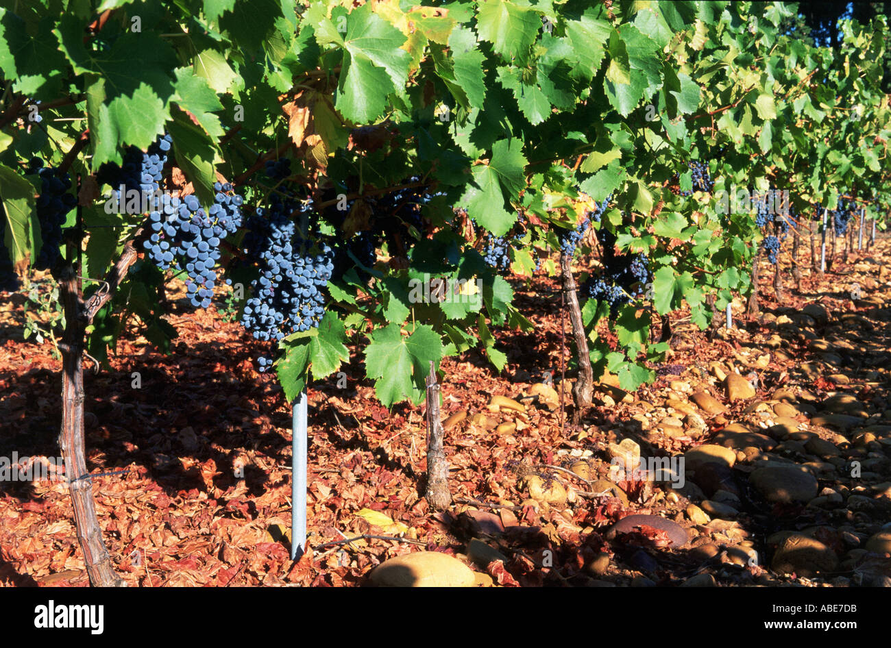 Lirac france hi-res stock photography and images - Alamy