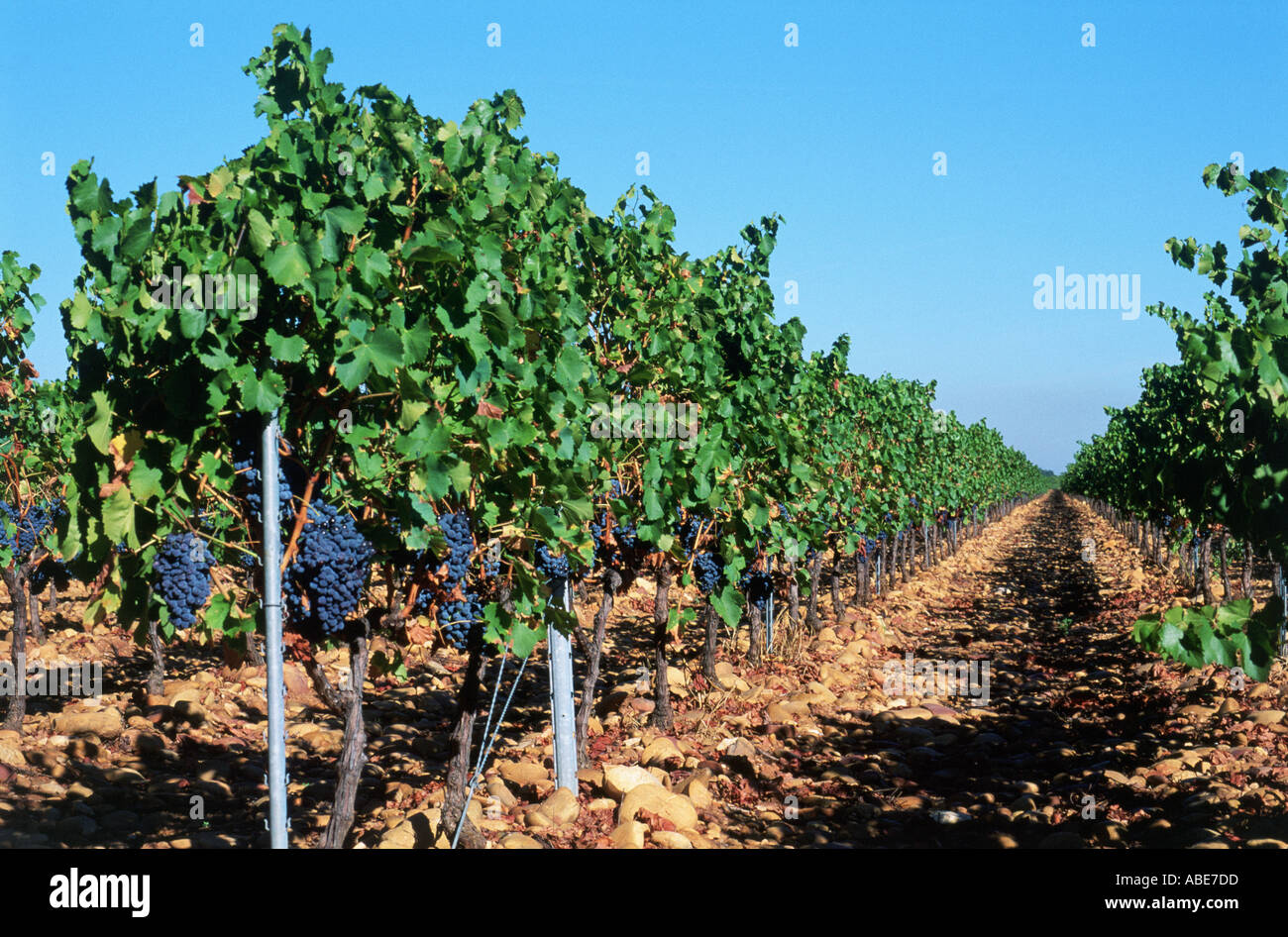 Lirac france hi-res stock photography and images - Alamy