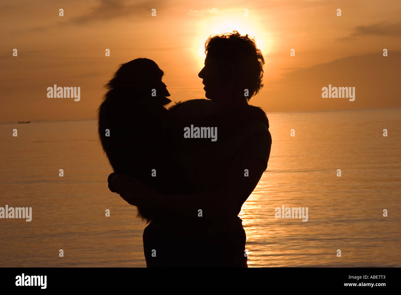 Debbie Cox of Jane Goodall Institute with protected chimpanzees on ...