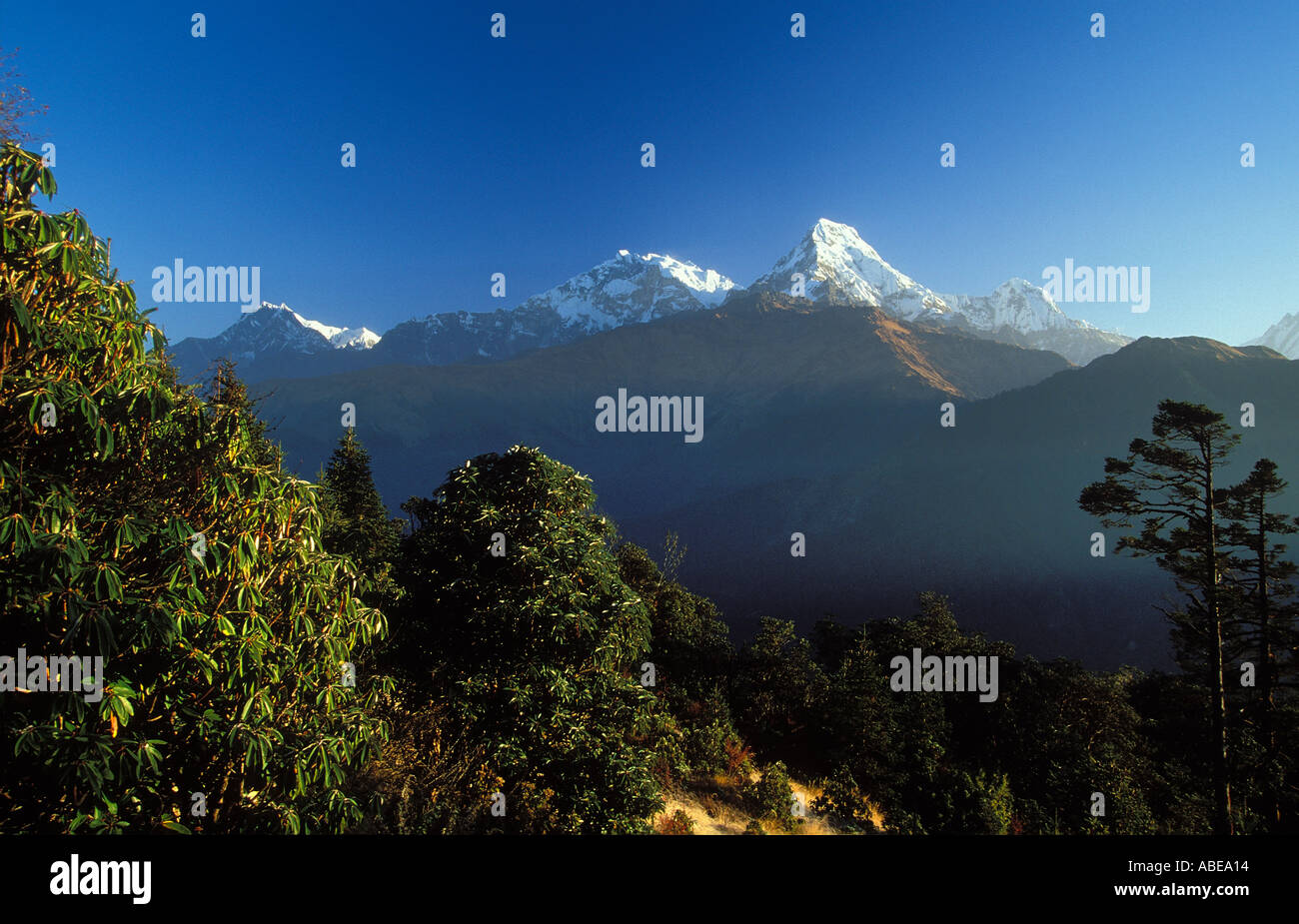 Himalayas high mountains hi-res stock photography and images - Alamy
