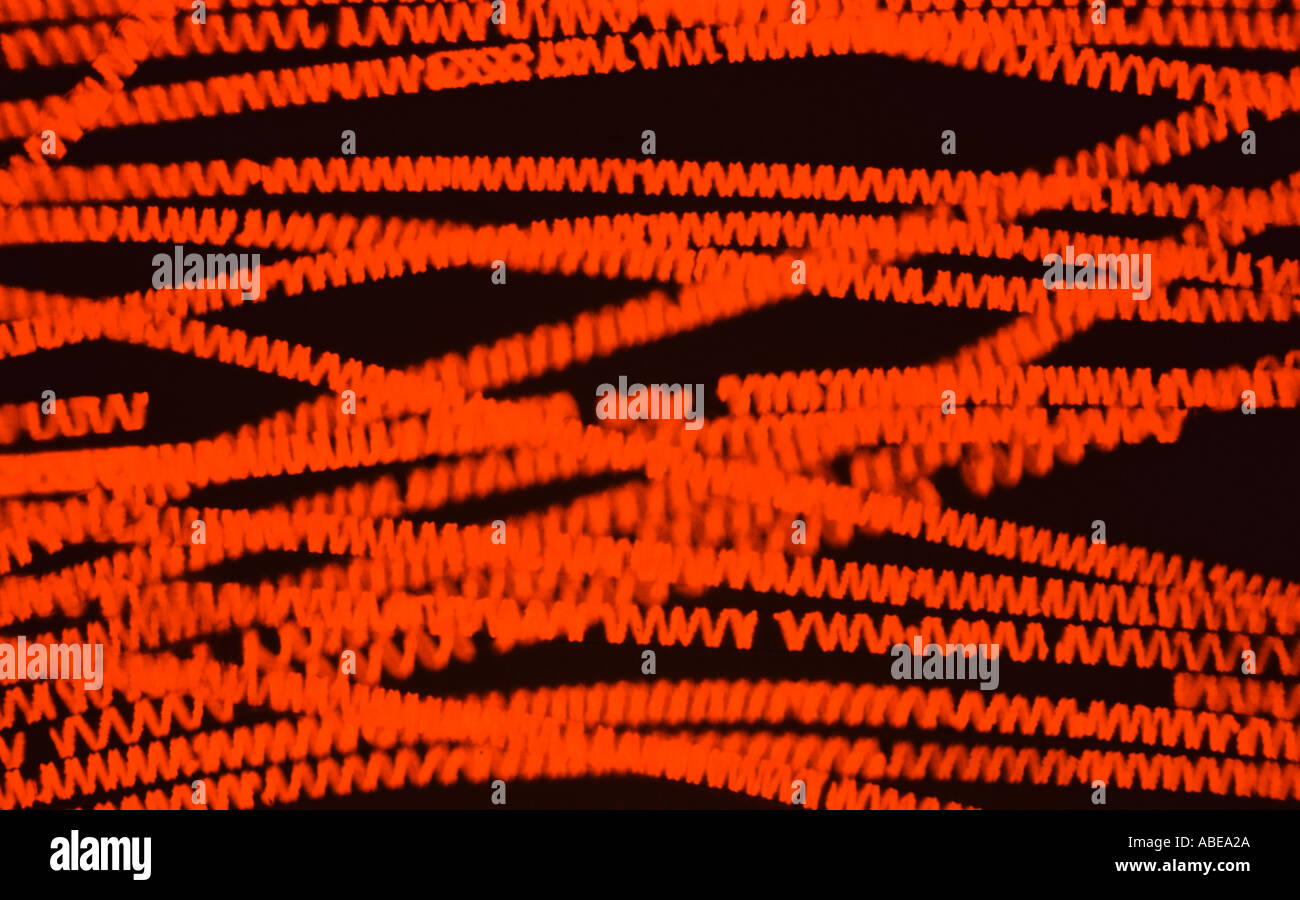 Spirogyra Live Blue Violet Fluorescence Stock Photo - Alamy