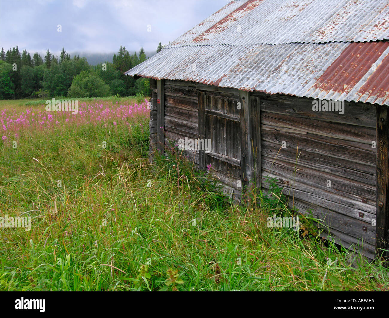Timber shanty hi-res stock photography and images - Alamy