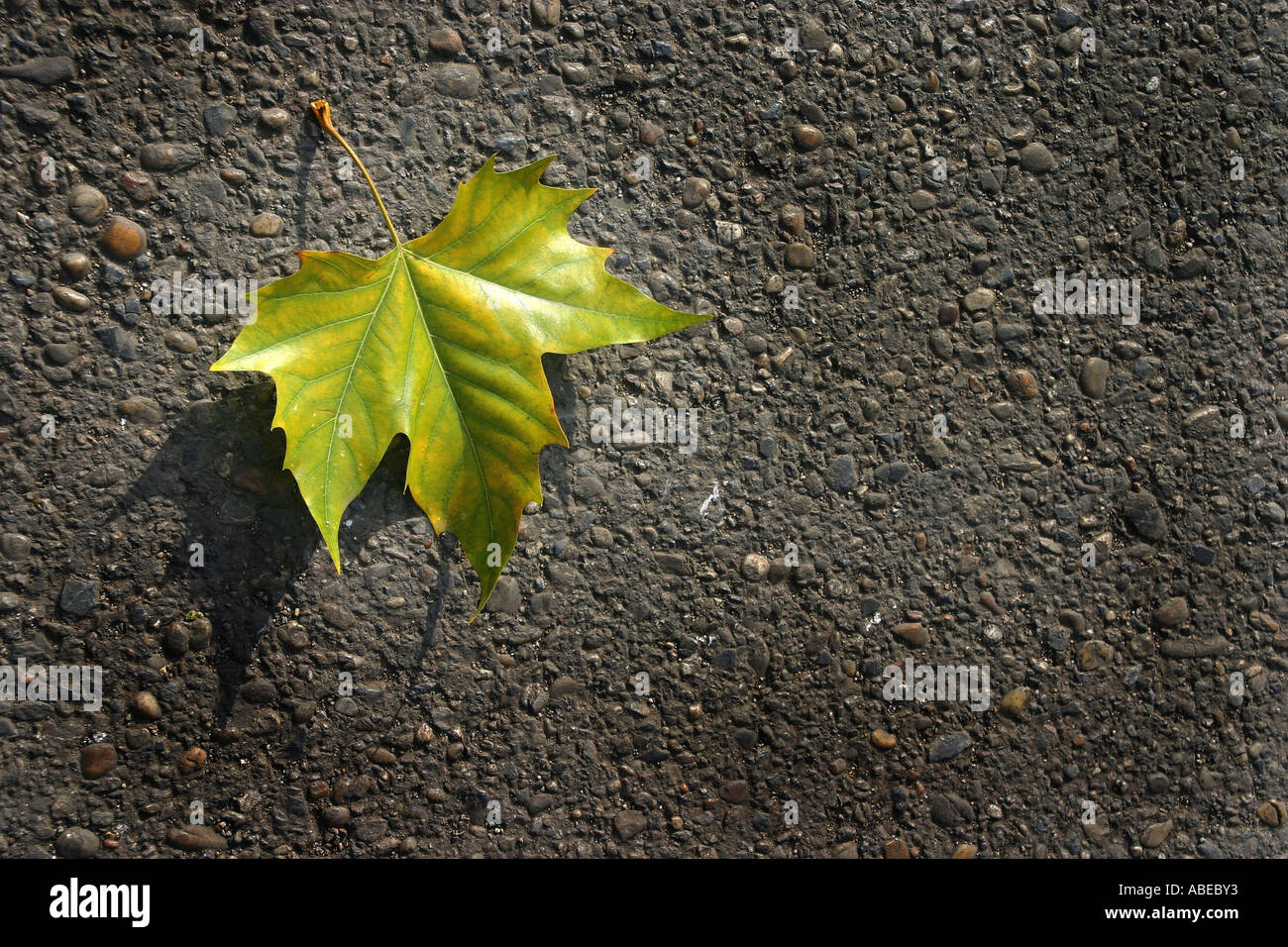 Lonesome person feeling solitude hi-res stock photography and images ...