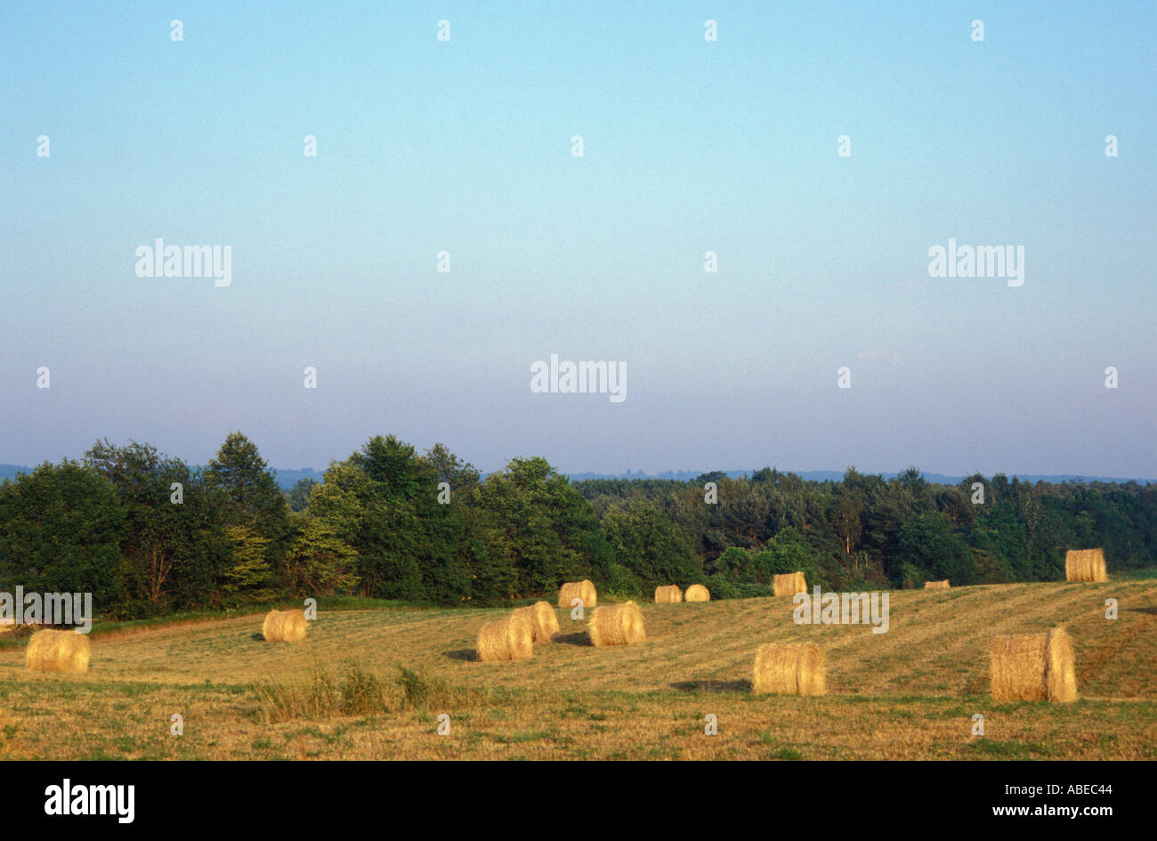 A rural farm scene with wheat bales in a harvested field with trees and ...