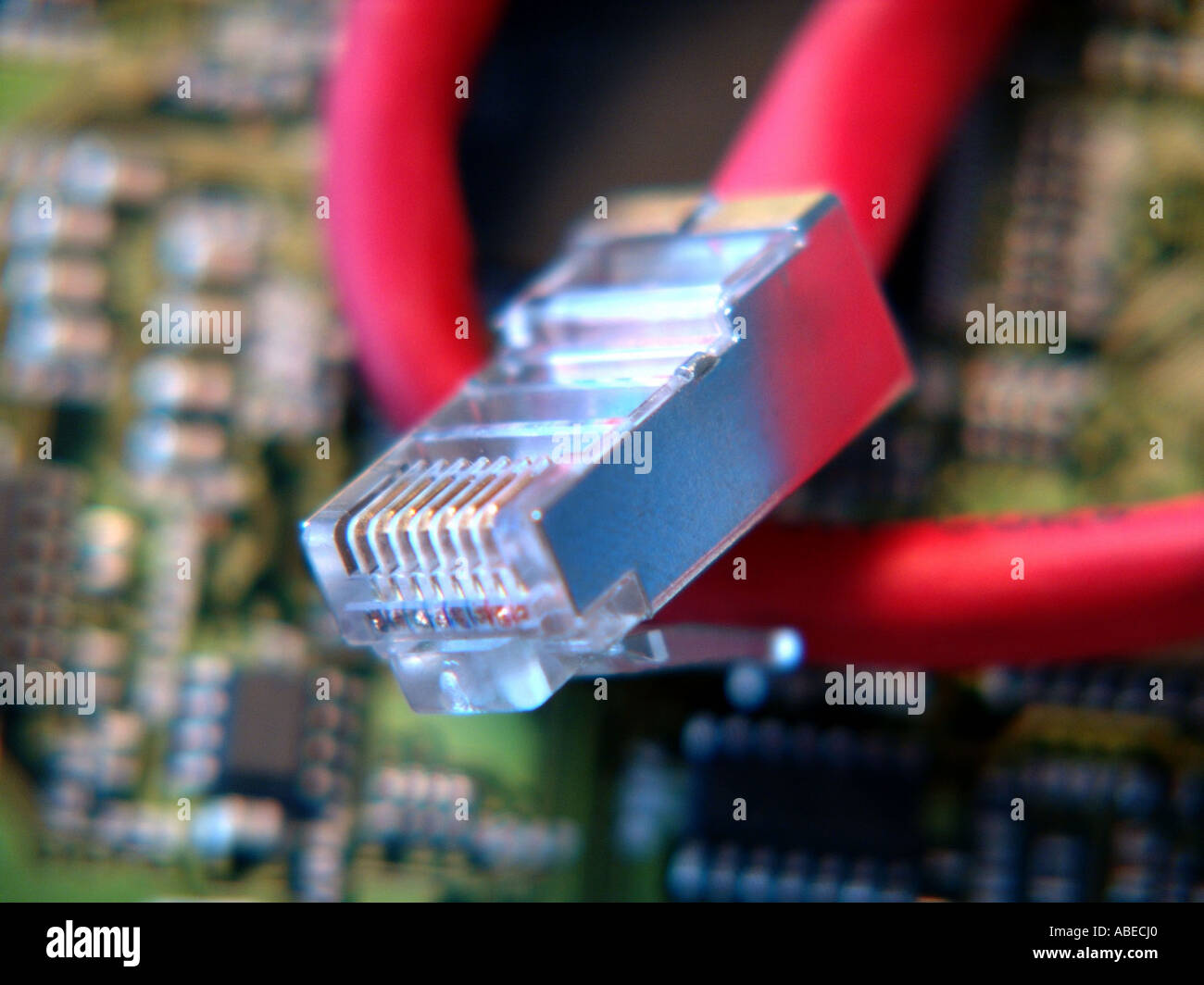 Computer network cable Stock Photo - Alamy