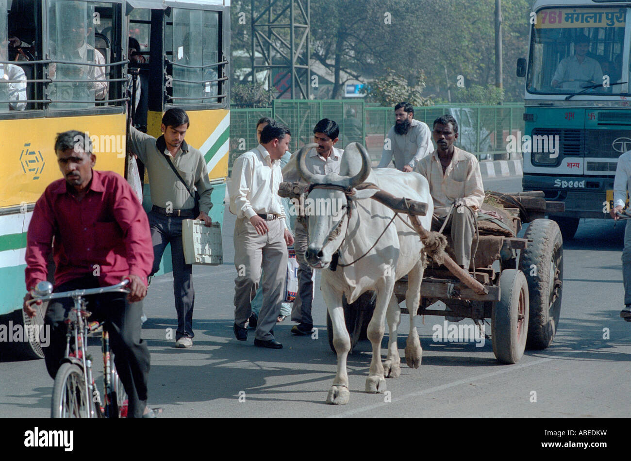 Ox cart walking on a motorway Stock Photo - Alamy