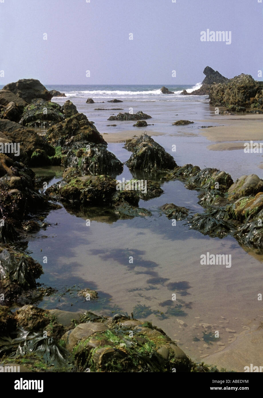 Pool in rock hi-res stock photography and images - Alamy