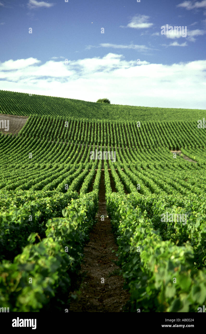 Village ay champagne hi-res stock photography and images - Alamy