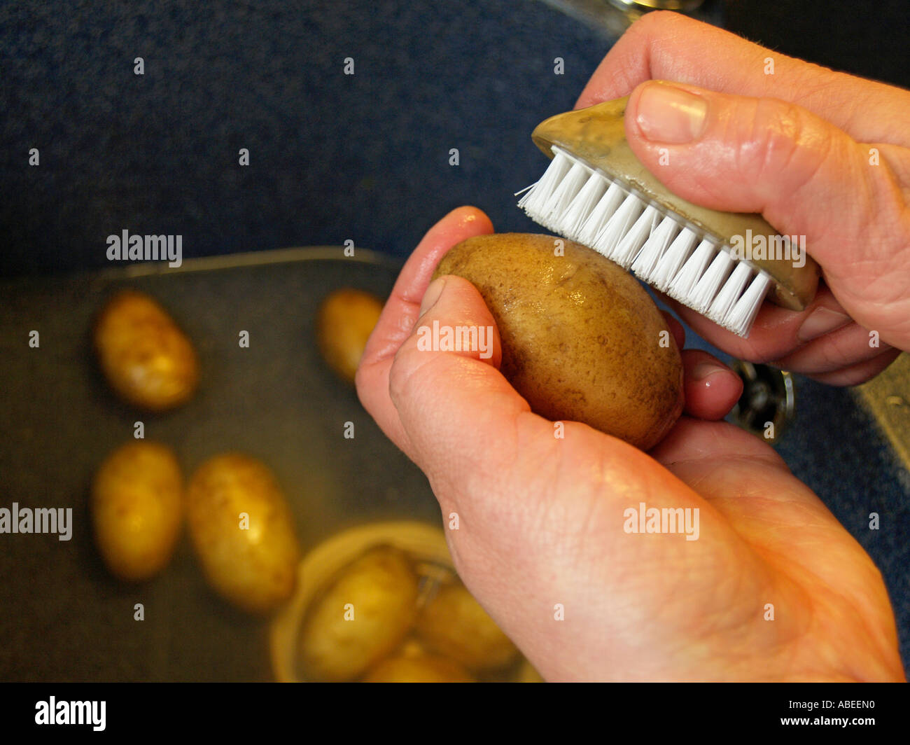 hands brushing potatoes with a vegetable brush scrubber Stock Photo - Alamy