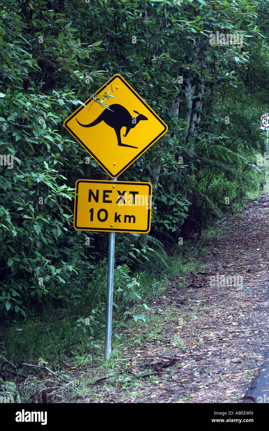 kangaroo road sign in Australia Stock Photo - Alamy