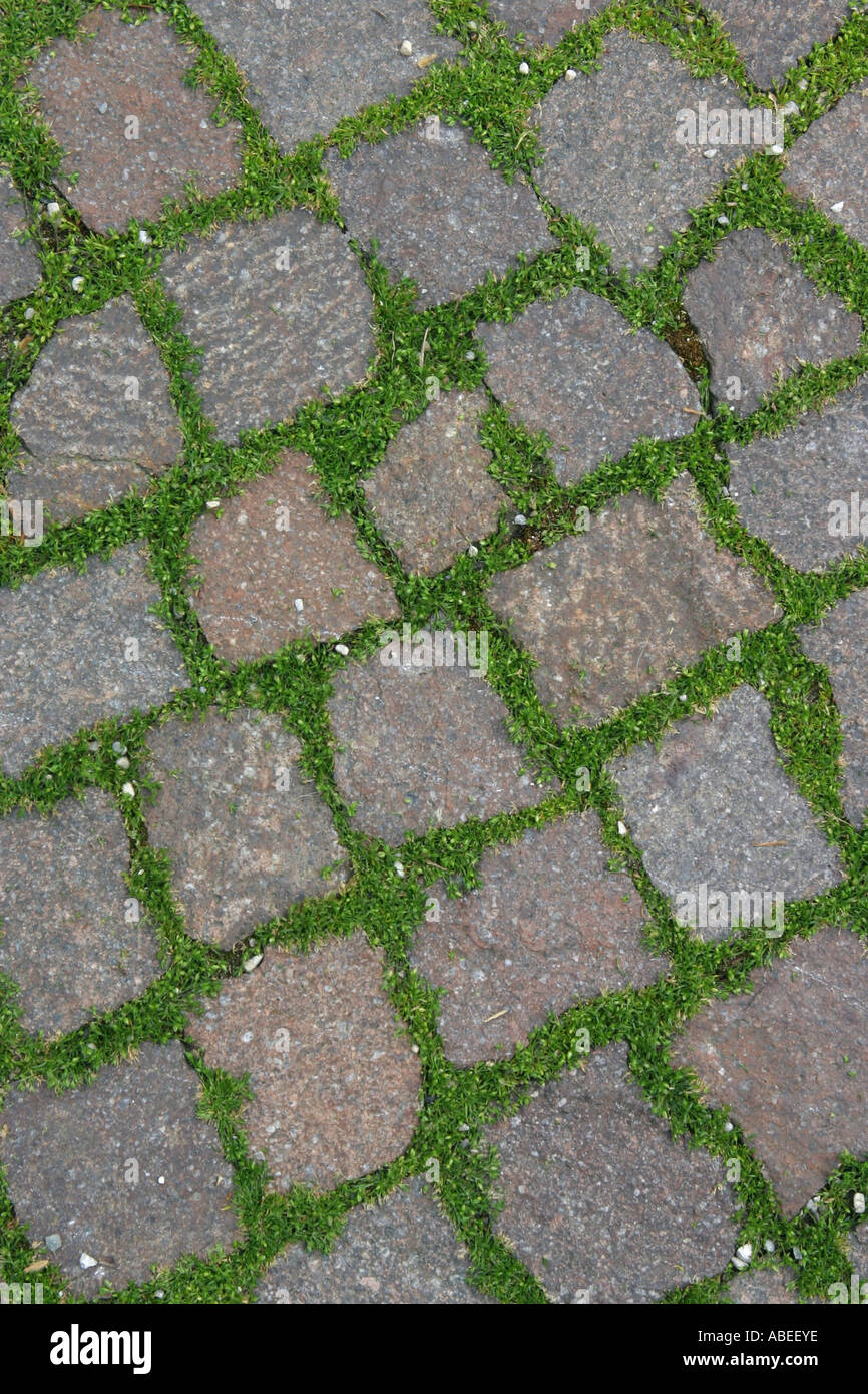 Paving-stones with grass Stock Photo - Alamy