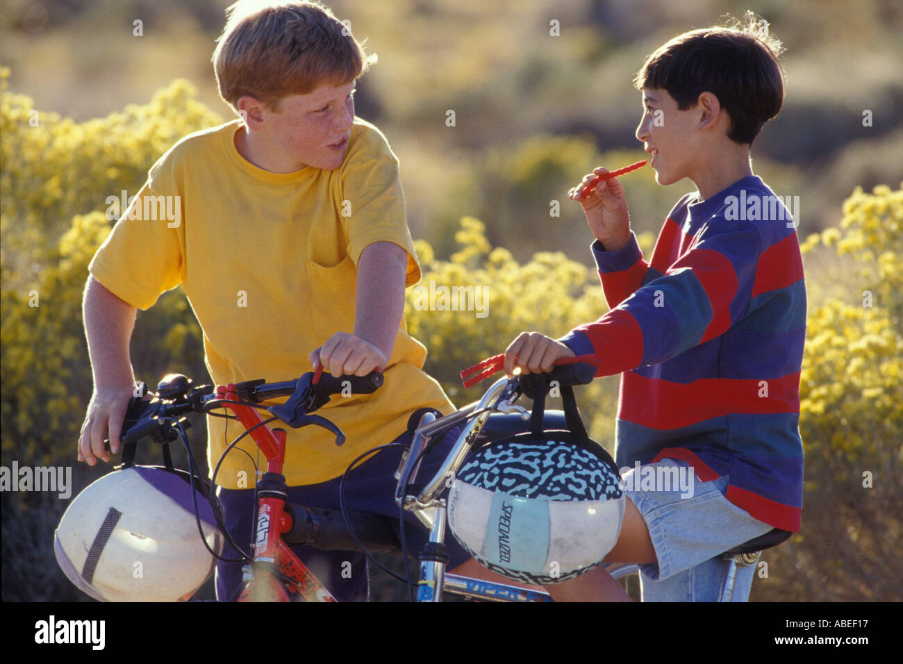 Two boys resting on their bikes talking; helmets are hanging on the ...