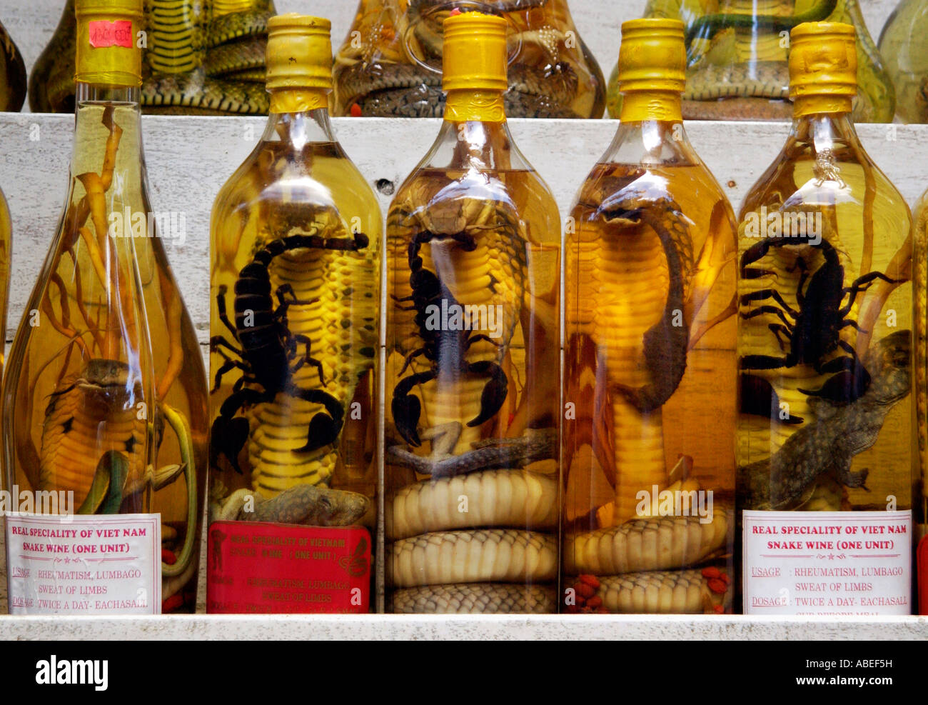 Snake and scorpion wine sold at the Cu Chi tunnels near Ho Chi Minh ...