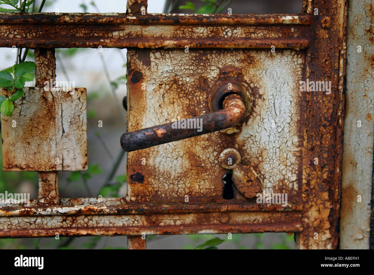 Unattractive garden hi-res stock photography and images - Alamy