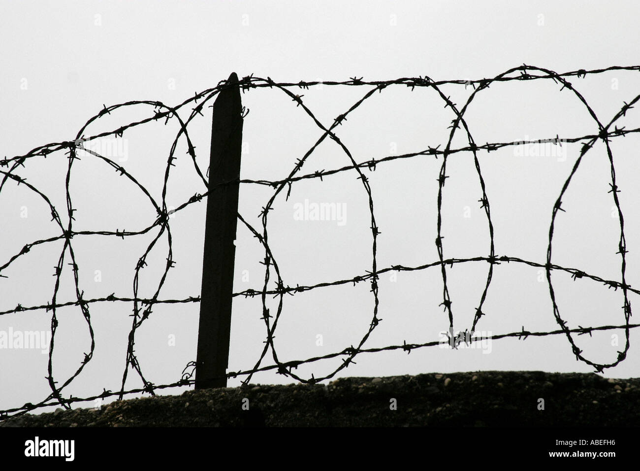 Barbed wire enclosures hi-res stock photography and images - Alamy