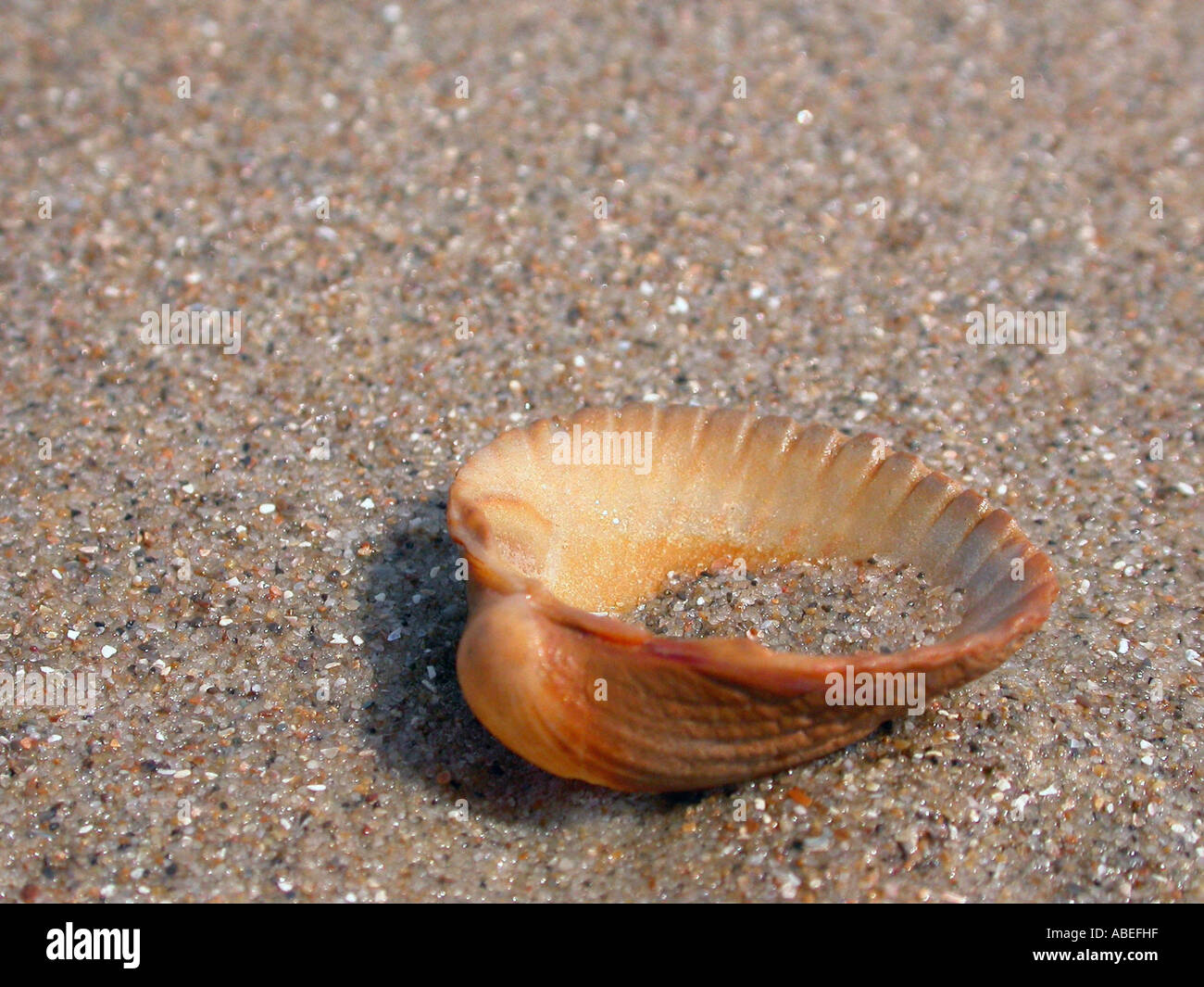 Deepen sea hi-res stock photography and images - Alamy