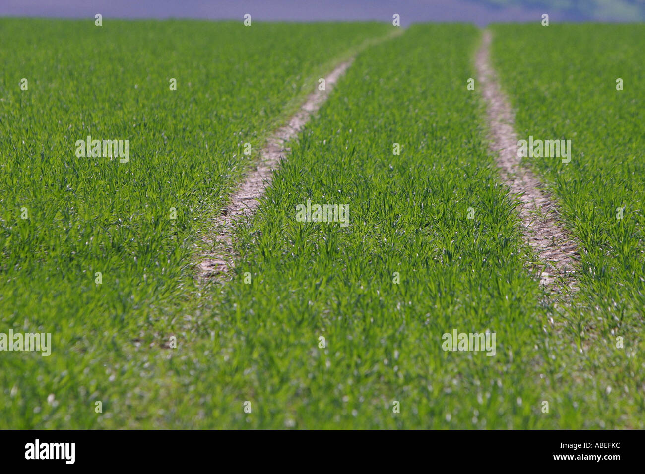 Tracks of tractor in a field Stock Photo - Alamy