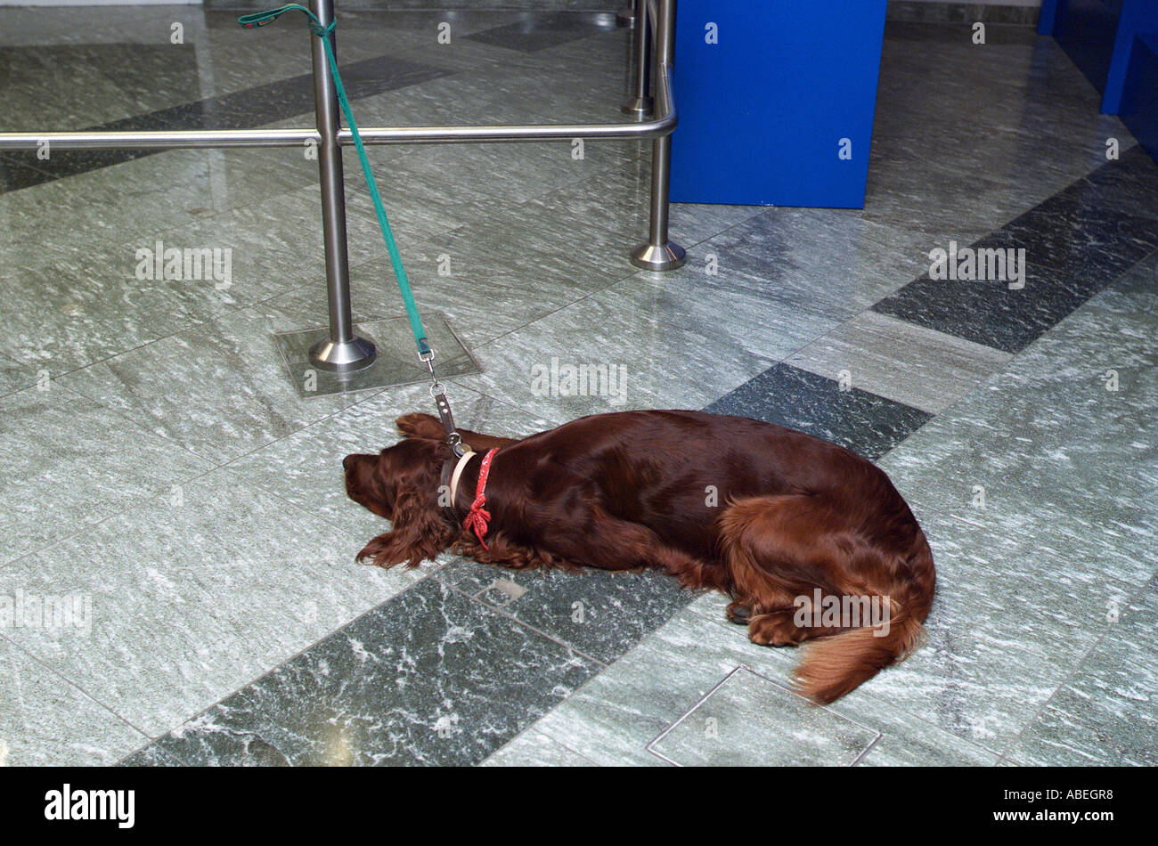 Waiting times stock hi-res stock photography and images - Alamy