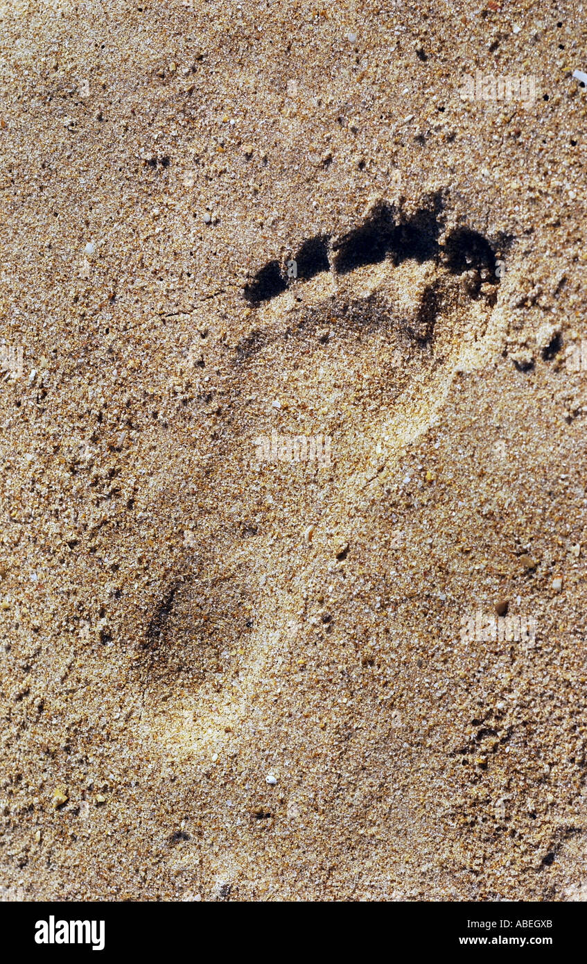 Foot print in the sand Stock Photo - Alamy