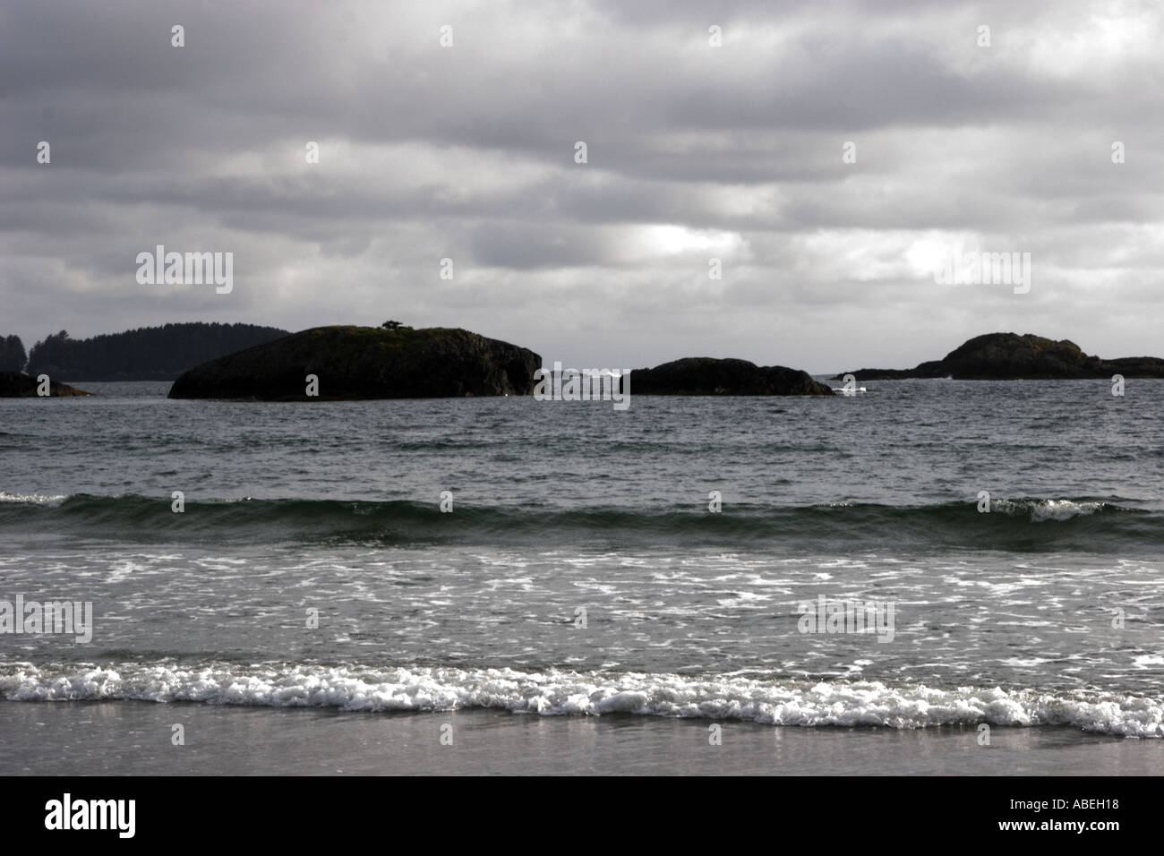 Scene from Long Beach Pacific Rim National Park near Tofino British ...