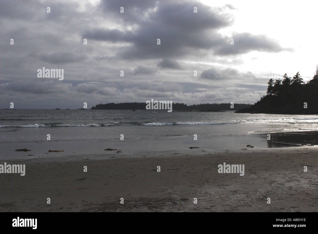 Scene from Long Beach Pacific Rim National Park near Tofino British ...