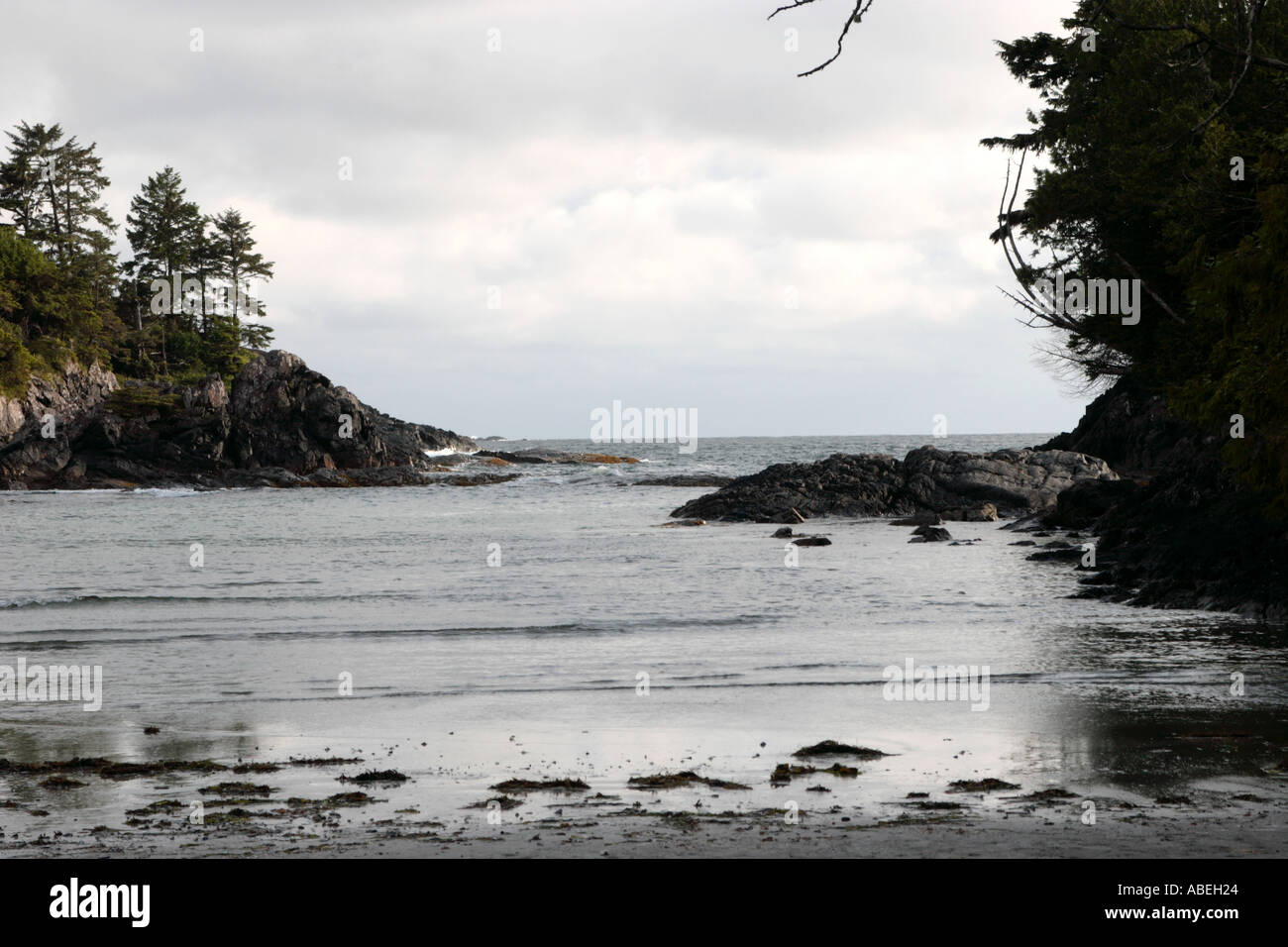 Scene from Long Beach Pacific Rim National Park near Tofino British ...